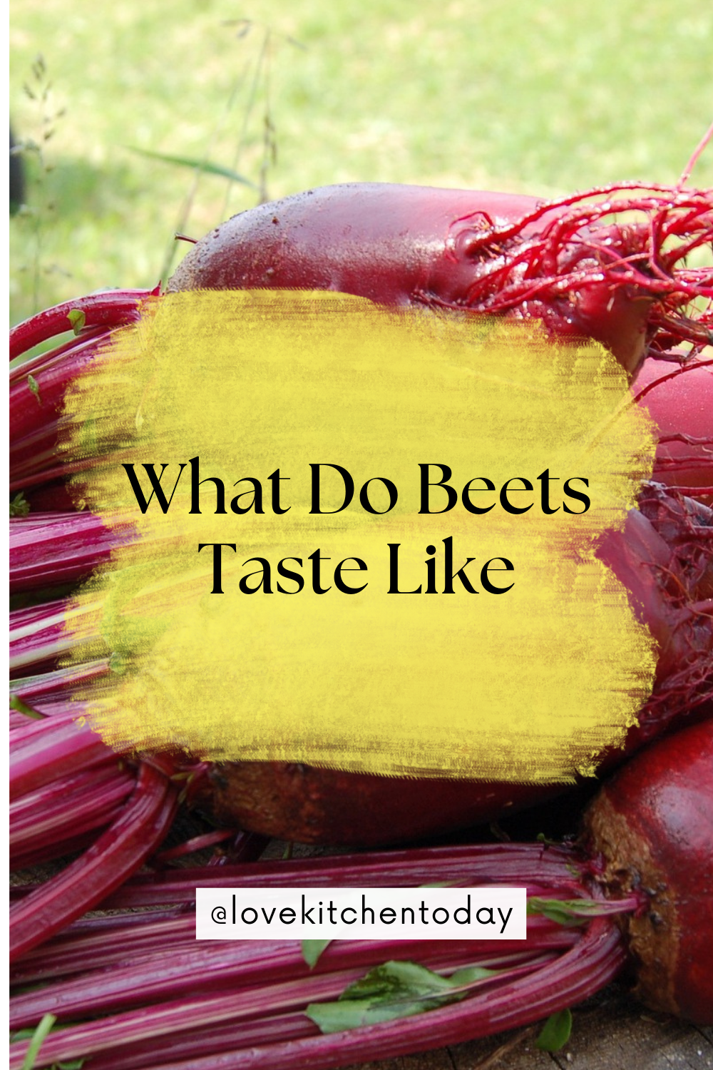 What Do Beets Taste Like